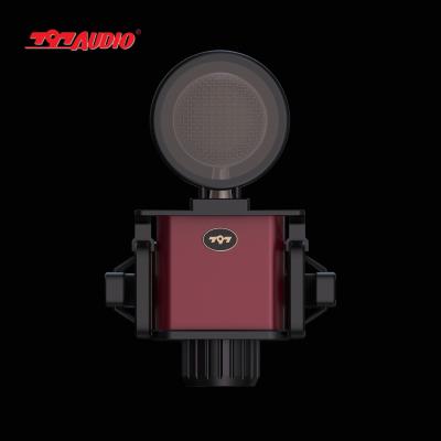 China 797Audio D501 Customized USB Microphone for Personalized Recording for sale