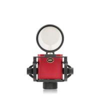 China 797Audio D501 Condenser Microphone for sale