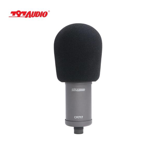 Quality 797AUDIO ATCR03 Vacuum Tube Condenser Microphone Interview Recording Microphone for sale