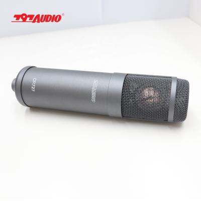 China 797AUDIO ATCR02 Vacuum Tube Condenser Microphone Well-toned Sound for All Professional Usage Wired Speaker Singing for sale