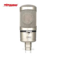 China 797AUDIO ACR02 Computer Microphone for Studio Recording Singing and Live Programs for sale