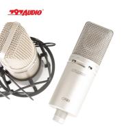 China Stage Performance Wired Microphone with Audio Interface and Vibration Resistance for sale