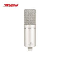 China Stage Performance Wired Microphone with Audio Interface and Vibration Resistance for sale