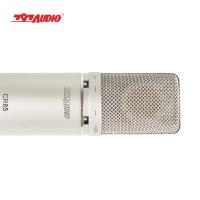 China Stage Performance Wired Microphone with Audio Interface and Vibration Resistance for sale
