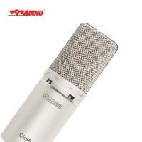 China Stage Performance Wired Microphone with Audio Interface and Vibration Resistance for sale