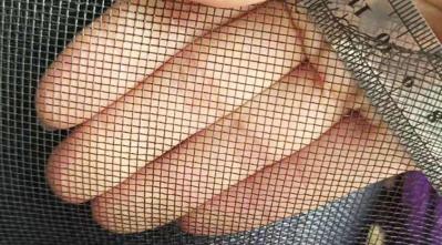 Quality Low C Steel Epoxy Coated Wire Mesh Cost Custom 400m Length for Air Filter for sale