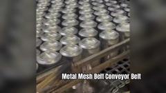 Food-grade Atainless Ateel Changcheng Web And Maotai Web Conveyor belt