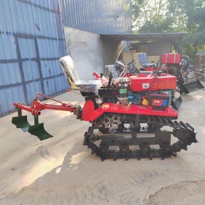 Cina Tiller rotativo multifunzionale per agricoltura su piccola scala in vendita
