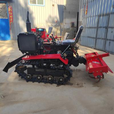 Cina Tiller rotativo multifunzionale per agricoltura su piccola scala in vendita