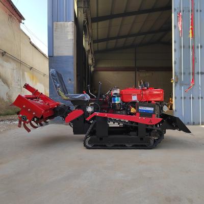 Cina Macchine per l'aratura agricola Multipli modelli Tiller per giardini e coltivatori Tiller rotante in vendita
