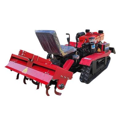 Cina Ride-On Model Mini Land Cultivation Machine con motore diesel e Tiller rotativo posteriore in vendita