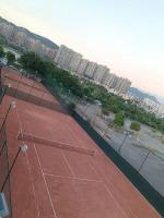 China JUSTSOLID SV-L Series Liquid Soil Stabilizer for Basketball Fields & Road Construction for sale