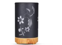 China 100ml Metal and Iron aroma diffuser essential oil diffuser/metal atomizer/ aromatherapy diffuser for sale