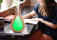 China 200ml Mini Multicolor Home Aroma Diffuser Movable Modern Craft Products for sale