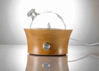 China 30ml Waterless Nebulizing Diffuser For Room Usb Essential Oil Aroma Diffuser for sale