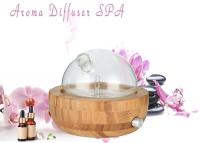 China 30ml Bamboo Nebulizing Diffuser Wood Aromatherapy Humidifier Aroma Diffuser for sale