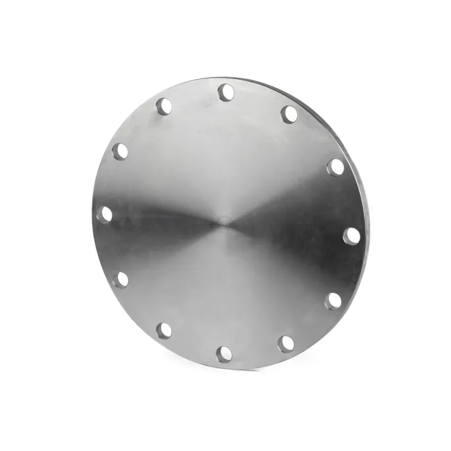 Forged Stainless Steel F321 F51 300#/600#/900# Bsp Thread Slip-on Flange