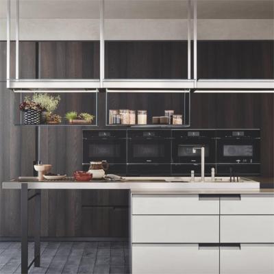 Cina Blum Hardware European Customized Waterproof Lacquer Kitchen Cabinet per il lusso moderno in vendita