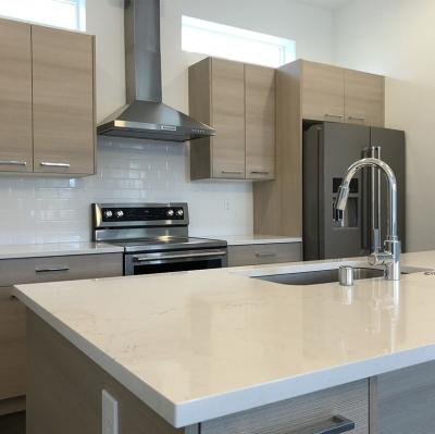 China Aangepaste E1 Particleboard Hout Keuken Pantry Kas met aangepaste veneer kleur Te koop