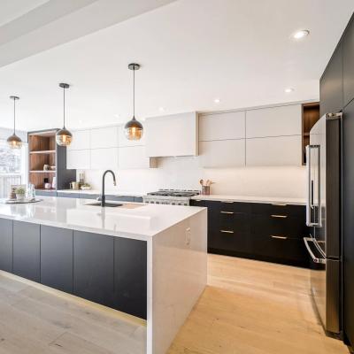 China Villa/Apartment Essential Lacquer Door Panel Surface Treatment Kitchen Pantry Cabinet for sale