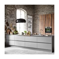 Quality Matte Kitchen Cabinet for sale