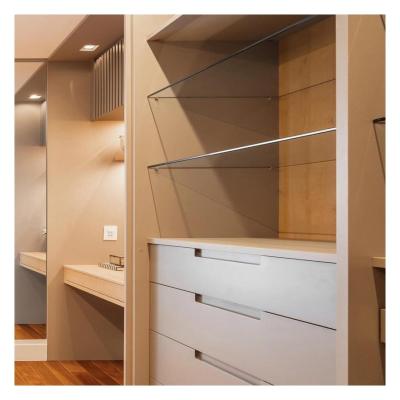 Diseño contemporáneo Panel de puerta de vidrio negro Dormitorio de madera sólida Armario para apartamento