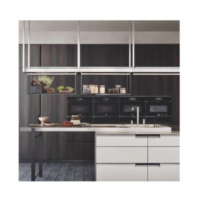 China Morden Duurzame Luxe Kas Wand Keuken met zeer ODM / OEM en Lazy Susan opslag Te koop