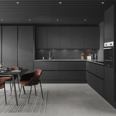Cina E1 Particleboard Home Modular Ready Made Cabinet Design con bancone di quarzo in vendita
