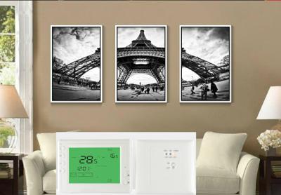 China 2020 Carbon Crystal Electric Infrared Heating Panel Painting Heater for sale