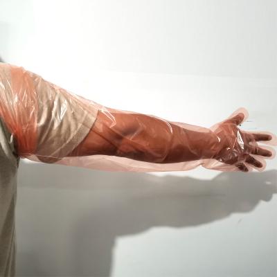 China Veterinary Surgeon Disposable Gloves for Cow AI Insemination by Animal Vet White for sale