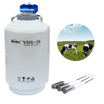 China artificial insemination institute cryogenic dewar YDS 10 vacuum semen storage tank bovine semen for sale for sale