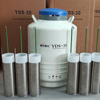 China Big Cattle Semen Tank Cryo Container 35L for Liquid Nitrogen Storage of Cow Semen for sale