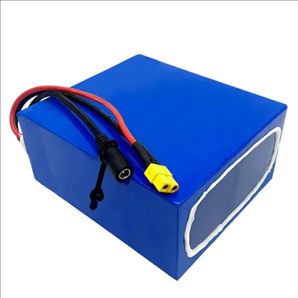 Quality Customized Rechargeable Li Ion Battery 24V 10Ah 36V 10Ah For Electric Bike for sale