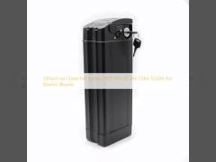 Lithium-Ionen-Silberfischbatterie 48V 36V 10,4Ah 13Ah 15,6Ah für Elektrofahrräder