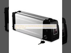 18650 Lithium-Ionen Silberfisch E-Bike Akku wiederaufladbar 36v 48v 13ah 15.6ah