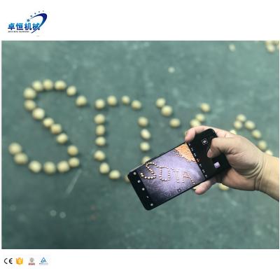 Cina Linea di produzione automatica ad alta velocità di fibre proteiche vegetariane per alimenti 3000 kg in vendita