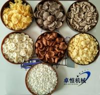 China Complete Corn Wheat Chips Flakes Puff Snack Food Production Line Extruder Making Processing Machine for sale