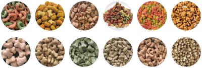 Cina 1200 kg all'ora mangime per pesci galleggiante per animali domestici mangime per pellet macchina di lavorazione per alimenti in vendita