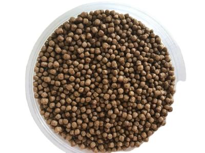 Cina 1200 kg all'ora mangime per pesci galleggiante per animali domestici mangime per pellet macchina di lavorazione per alimenti in vendita