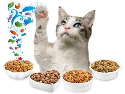 中国 マルチ機能ペットフード生産のための魚犬猫フード製造加工機械 販売のため