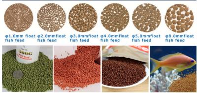 Cina Macchina a pellet per la linea di produzione di mangimi per pesci di grande capacità con ispezione video in uscita in vendita