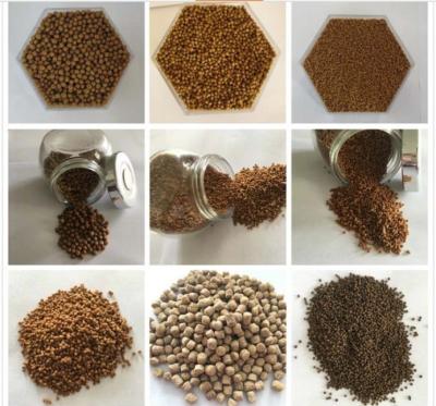 Cina Macchine per la produzione di pellet di mangimi per pesci galleggianti di acciaio inossidabile per l'industria in vendita