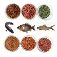 China Advanced Compact Fish Feed Making Machine for Space-Saving Operations for sale