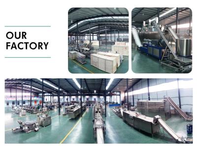 Cina 2 tonnellate all'ora macchina automatica completa per la lavorazione del cibo per animali domestici per materie prime di farina di carne in vendita