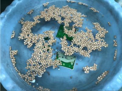 Cina Macchine per l'estrusione di pellet per mangimi di pesci con alta tecnologia in vendita