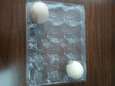 China Clear transparent plastic tray for eggs for sale