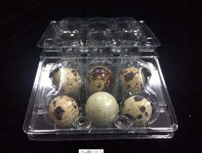 China hot sells egg trays clear quail egg trays with 6 holes 2*3 holes PVC / PET / APET... quail egg container for sale