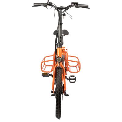 Cina Bicicleta elettrica di carico per la famiglia con ruote da 20 pollici, autonomia di 80 km e due batterie da 36V 13AH in vendita