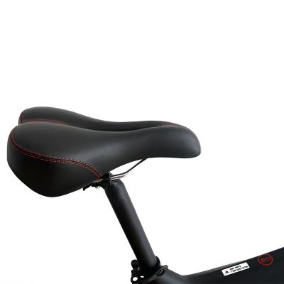 Cina ES750 26 pollici 48V 750W Bicicletta elettrica da montagna in fibra di carbonio per esplorazioni all'aria aperta in vendita