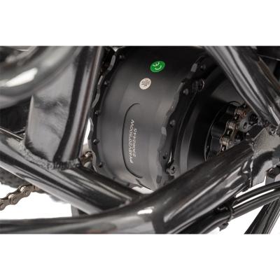Cina 26 pollici Fat Tire 7 velocità 48V500W Motore posteriore Casa bici elettrica per una guida fluida in vendita